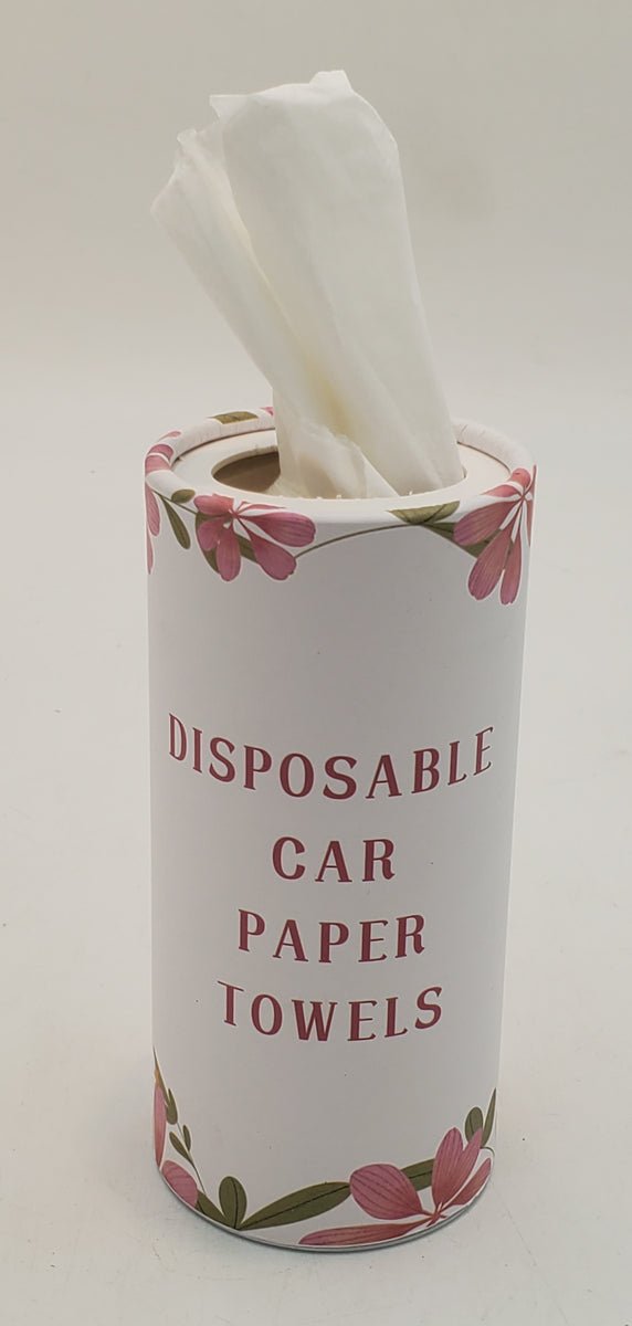 CAR PAPER TOWEL – Kitchen Depot